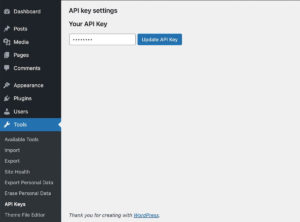 How to safely store API keys and access protected external APIs in WordPress - Full Stack Digital